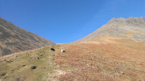 A Day with Nicky Spinks: Ultra Race / 24 hr round training : Run Eat ...