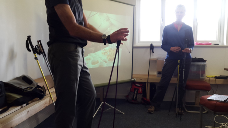 Secondly, never place the pole ahead of your foot. It should hit the ...